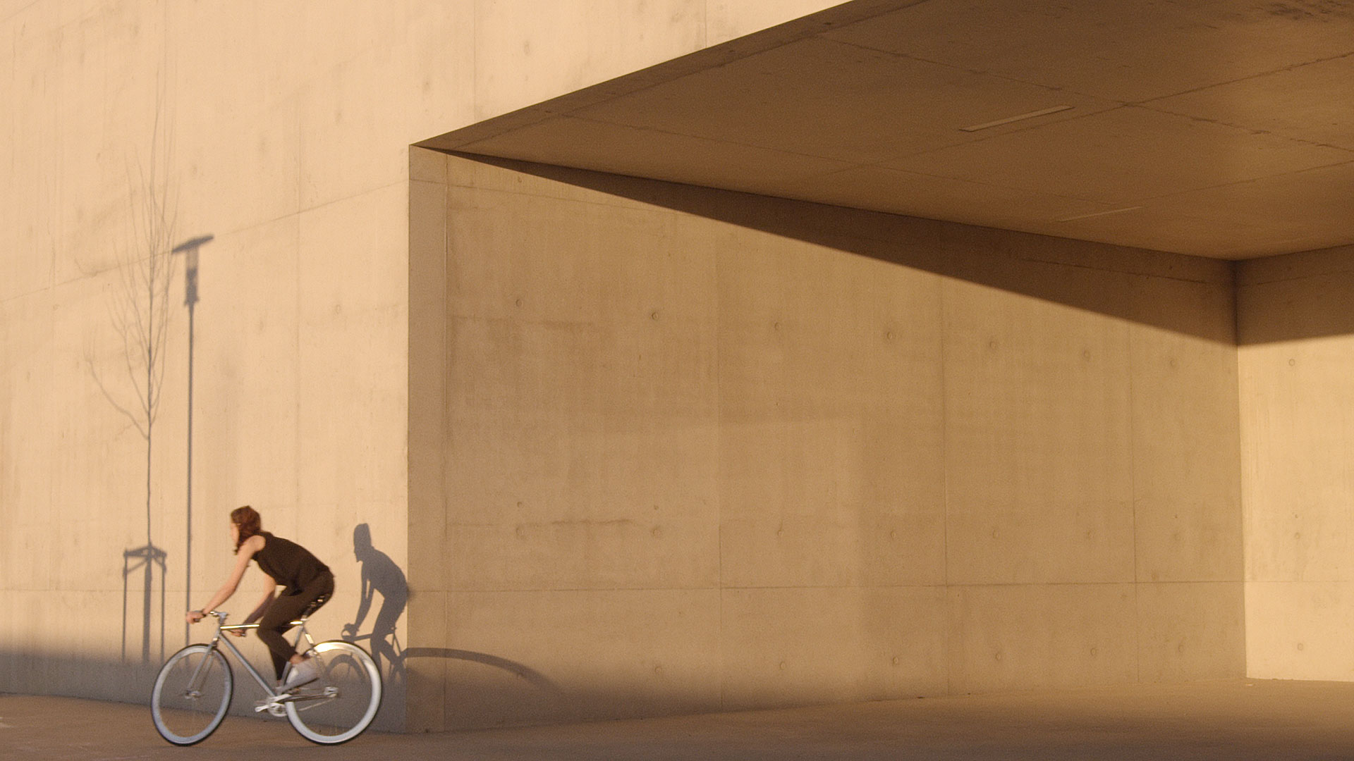 Alfex - Art on Wheels - alexandre favre